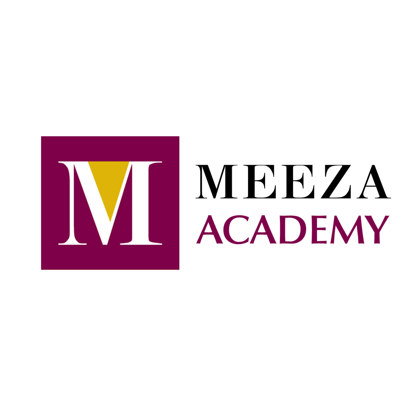 Meeza Academy – MEEZA